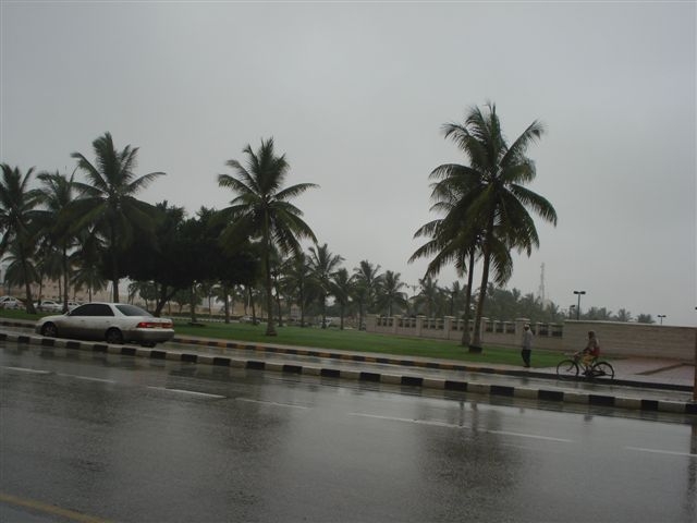 Engram's Random Rambling: Khareef (Rainy) Season in Salalah , Southern ...