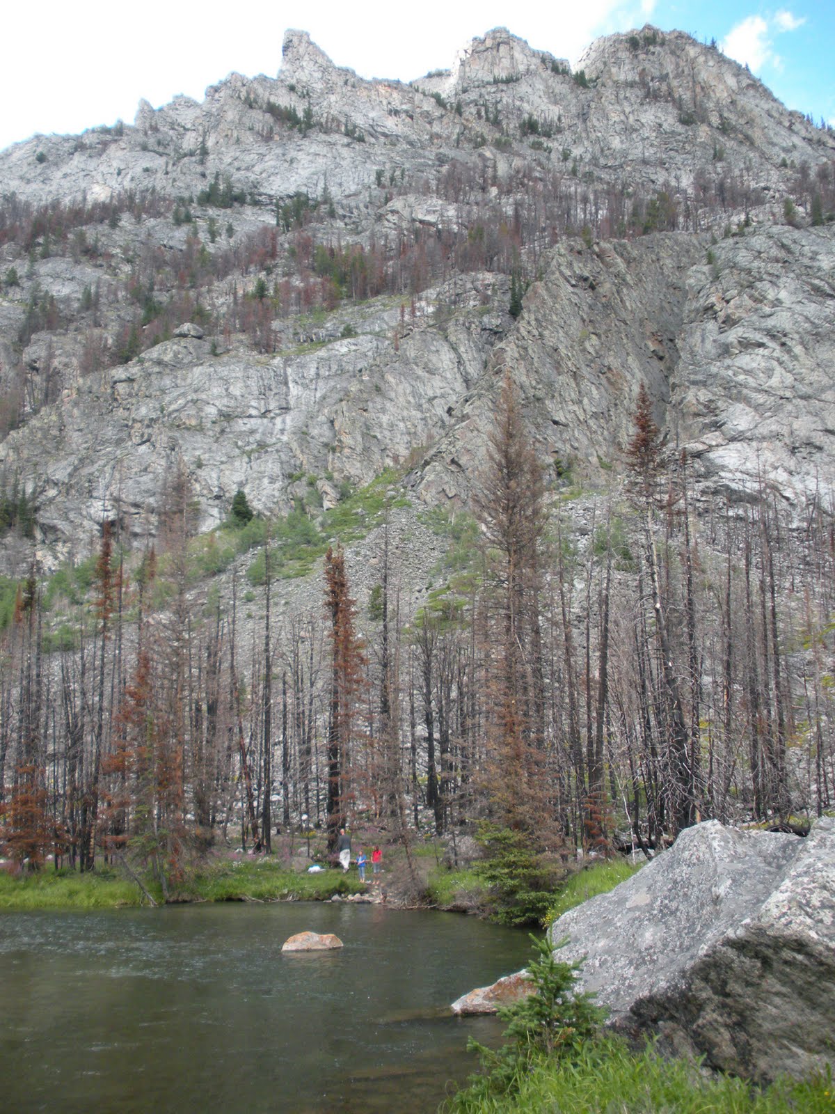 Living and Dyeing Under the Big Sky: Calamity Falls Dayhike, Beartooth ...