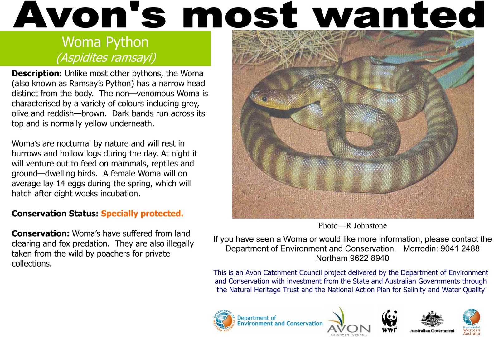 Wheatbelt biodiversity: Wheatbelt Biodiversity-Fauna
