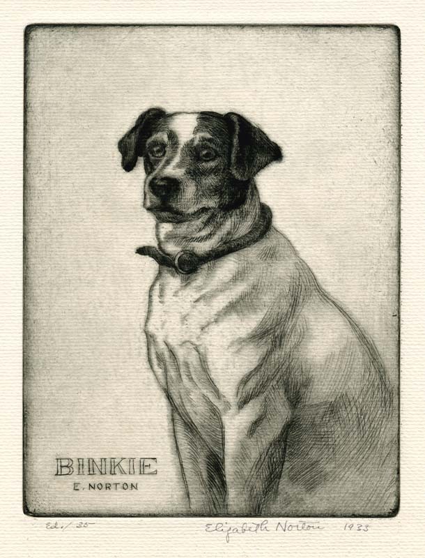 The Linosaurus: Elisabeth Sawyer Norton