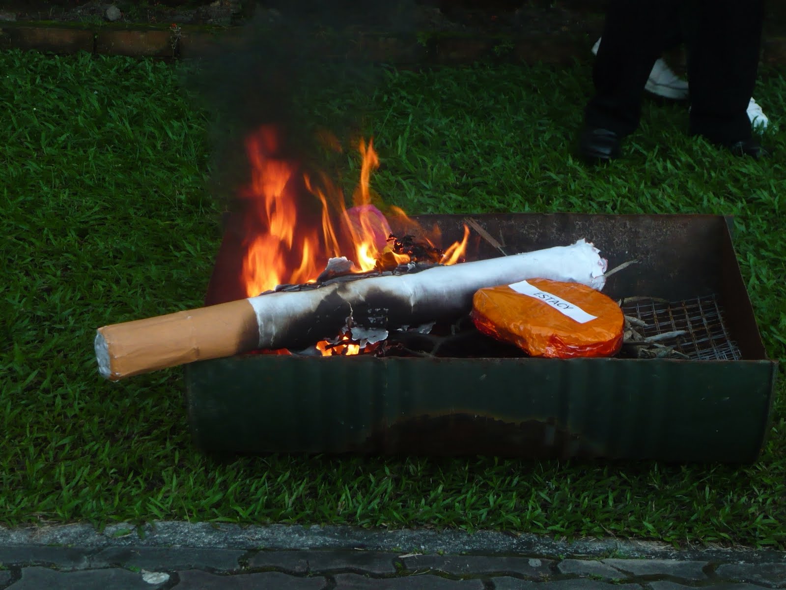 WARDAH MOLEQ: KEMPEN ANTI DADAH & ANTI ROKOK