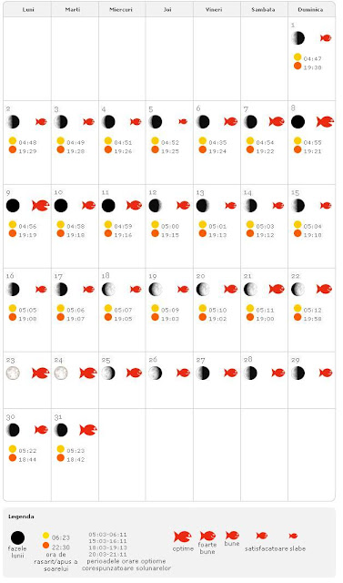 Pescuitul la crap: Solunar pescuit : August