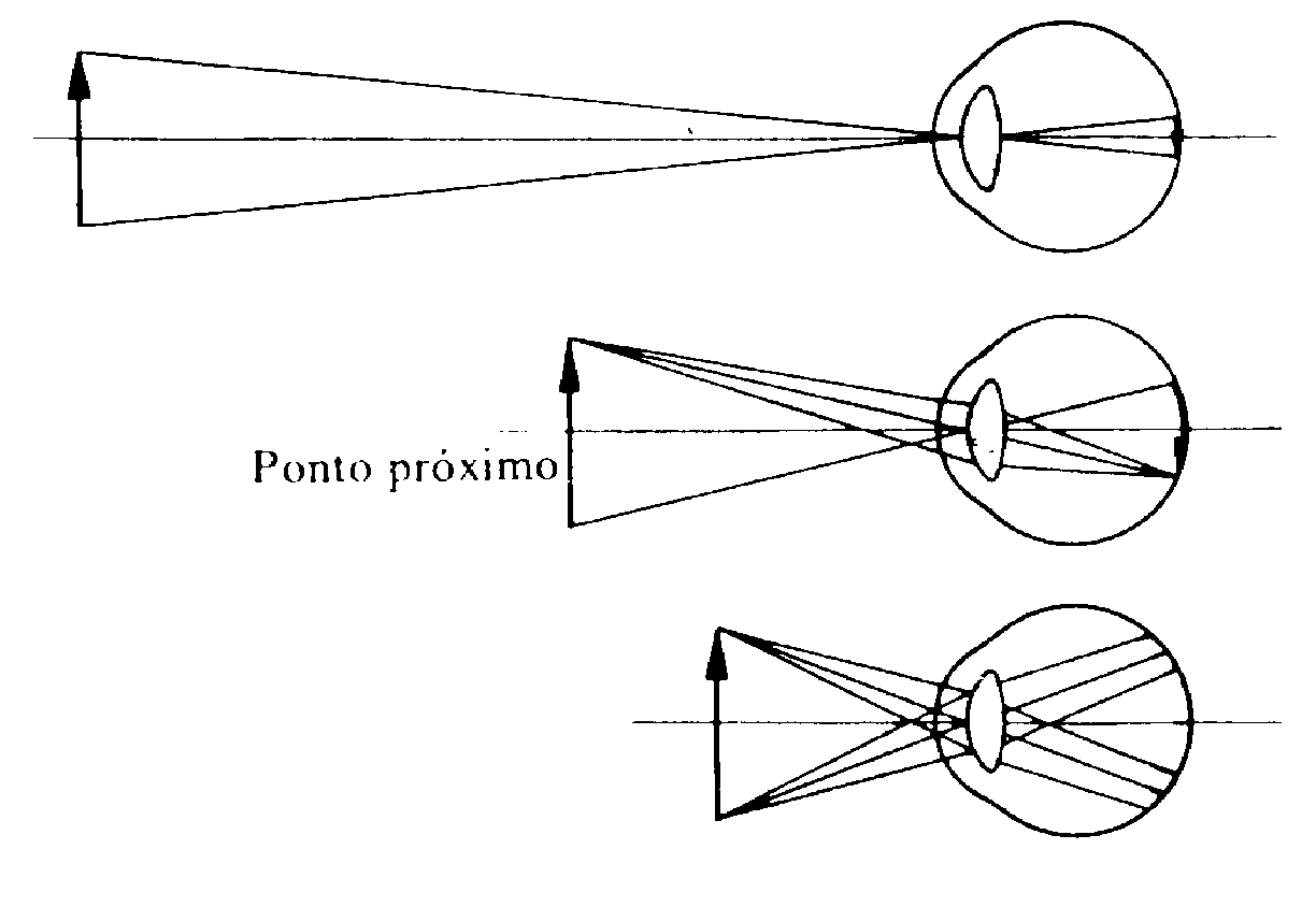 Óptica e Teoria da Cor: Mecanismo de Visão (continuação)