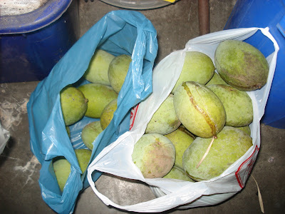 Blog Garden: The Wani Fruits are falling..