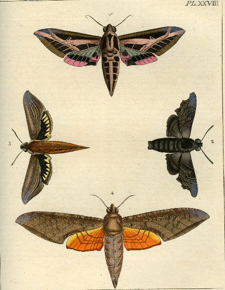 BOOKTRYST: Petrified By Pests? Rare Books To Fuel Your Phobias