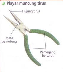 Welcome To Daing 's Blog: PLAYAR MUNCUNG TIRUS