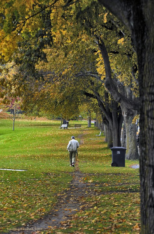 Barbara Rahal Photography