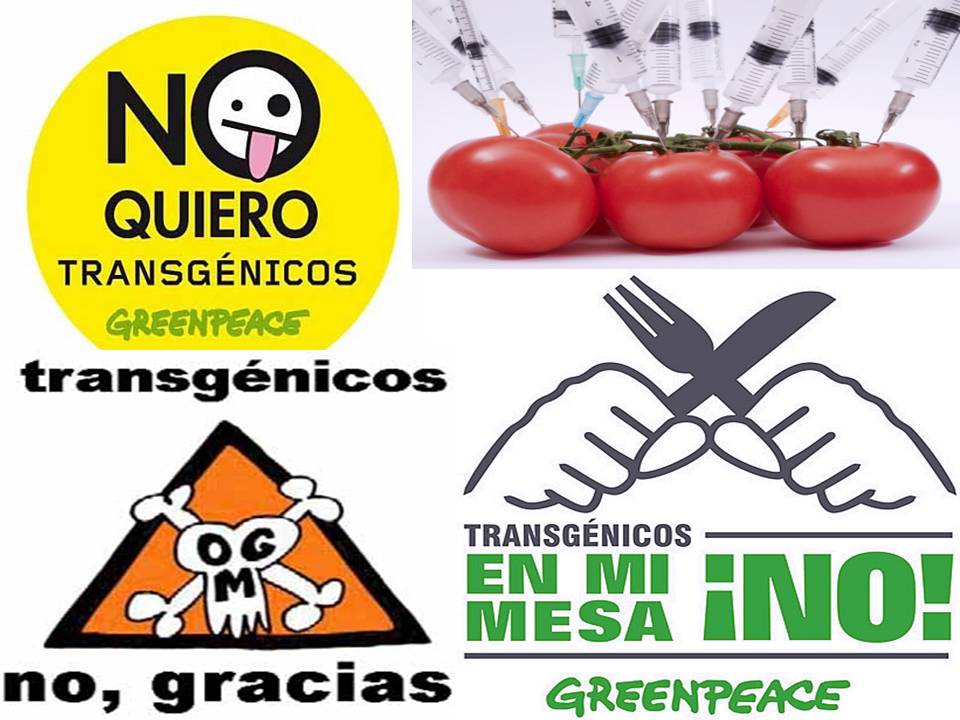 NATURALEZA VERDE DEL LEGOLAS: TRANSGENICOS ¿SON BUENOS?