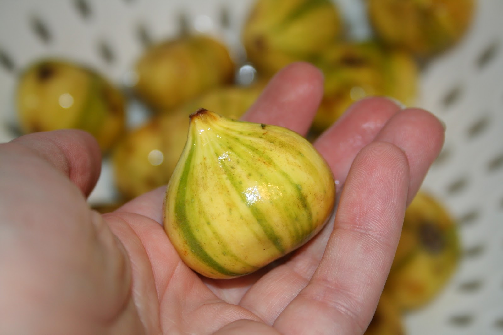 The Freerange Chick: Monthly micro-batch: candy striped fig ice cream