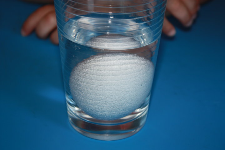Science Wednesday - The Transparent Egg Experiment | Tots of Fun Crafts