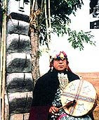 La cultura mapuche