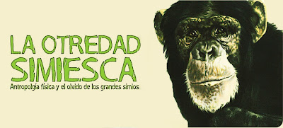 PaleoAnthropo: LA OTREDAD SIMIESCA. Antropología Física y el olvido de ...