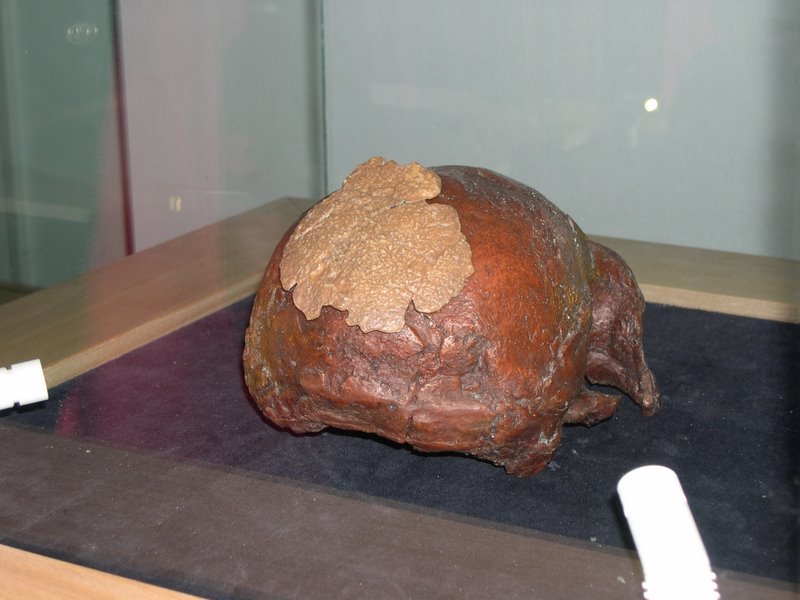 PaleoAnthropo: Los misterios del hombre de Orce