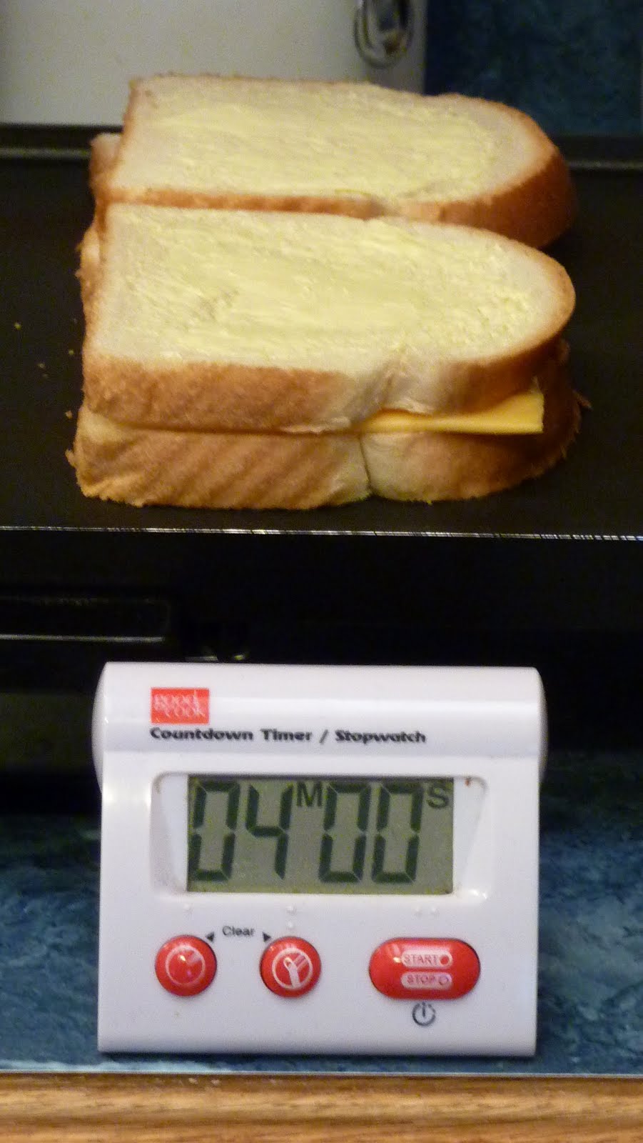 A Squirrel in Babylon: The Squirrel Can Cook - Grilled-Cheese Sandwich