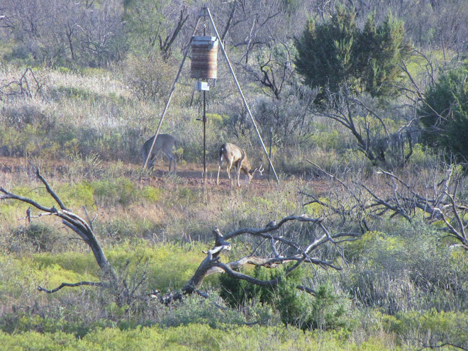 131 Hardeman County Ranch: Battle of Pease River took place a short ...