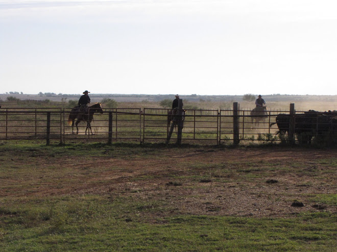 131 Hardeman County Ranch: Battle of Pease River took place a short ...