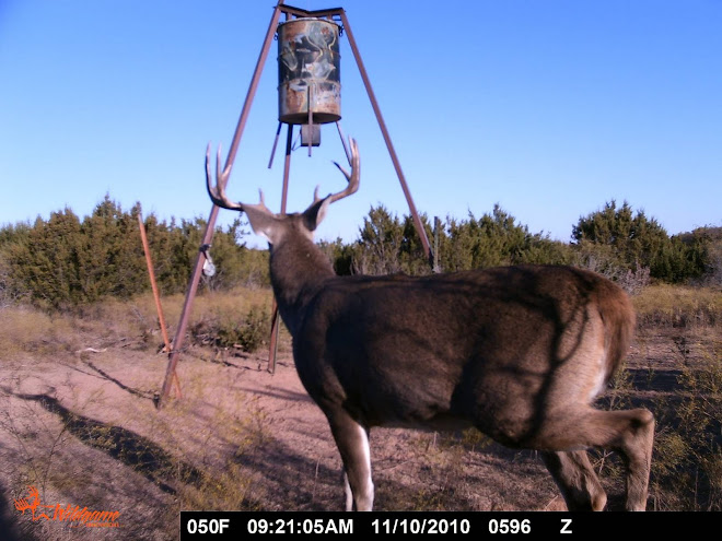 131 Hardeman County Ranch: Battle of Pease River took place a short ...