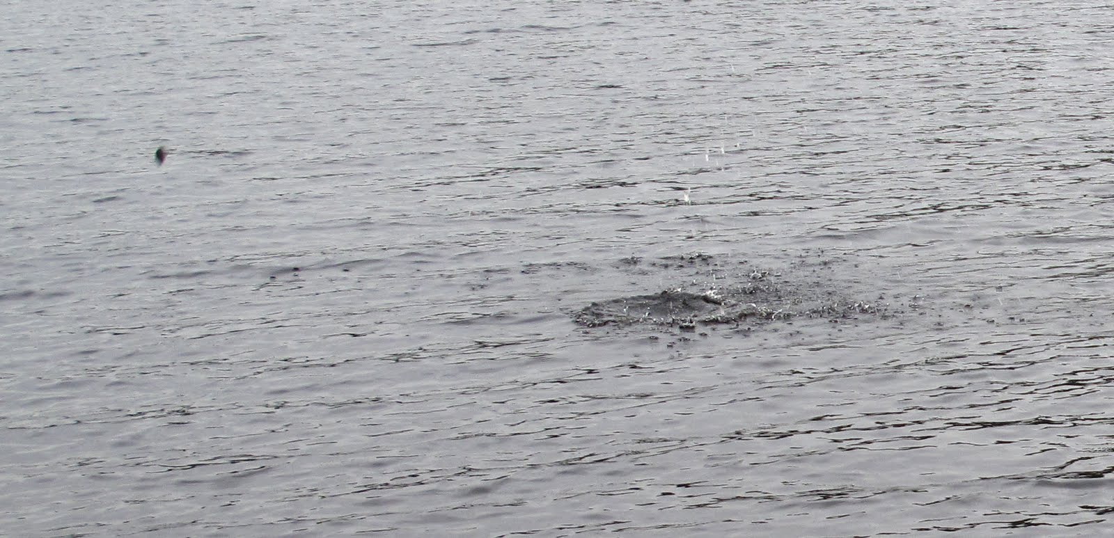 Peak Ramblings: STRINES, STRINES RESERVOIR, DALE DIKE RESERVOIR