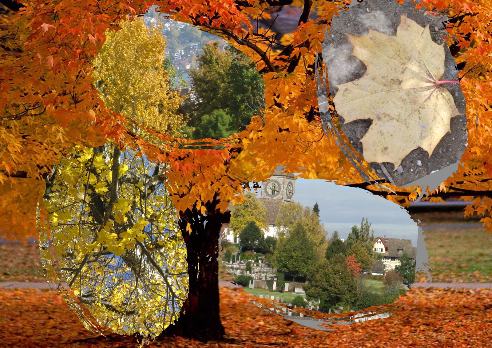 Larissa E- Digital Art: Photoshop collage