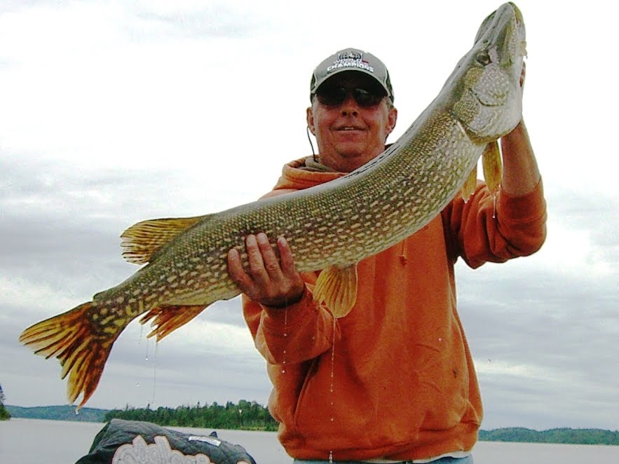 Bow Narrows Camp Blog on Red Lake Ontario: Do northern pike suspend ...