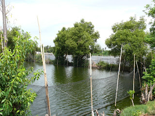 Digital Format: Palaisdaan