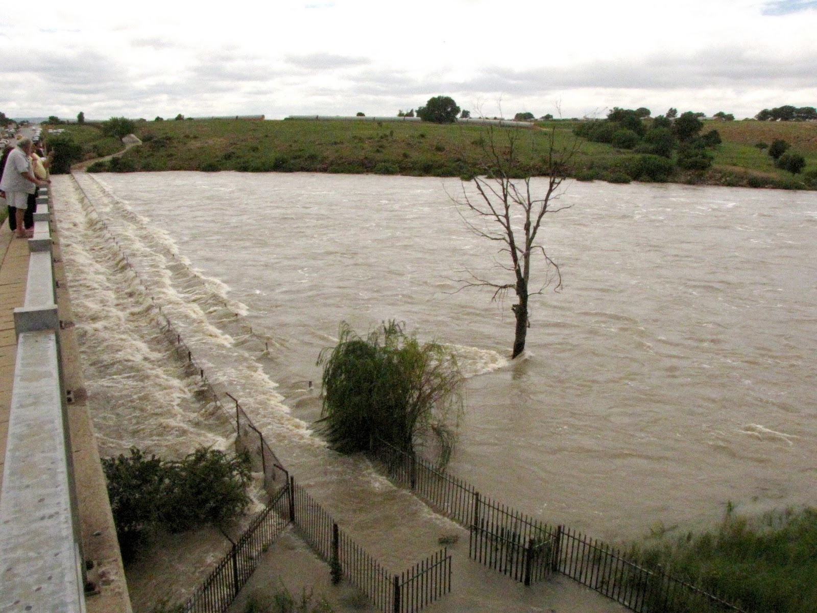 Vaal Dam Archives - Natural Suburbia