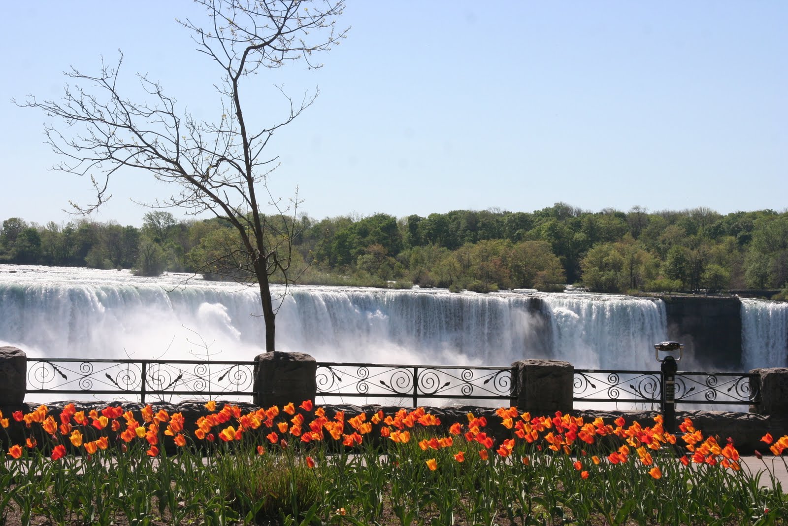 A Niagara Region Garden: Niagara Falls May 05 2010 the Gardens, (just ...