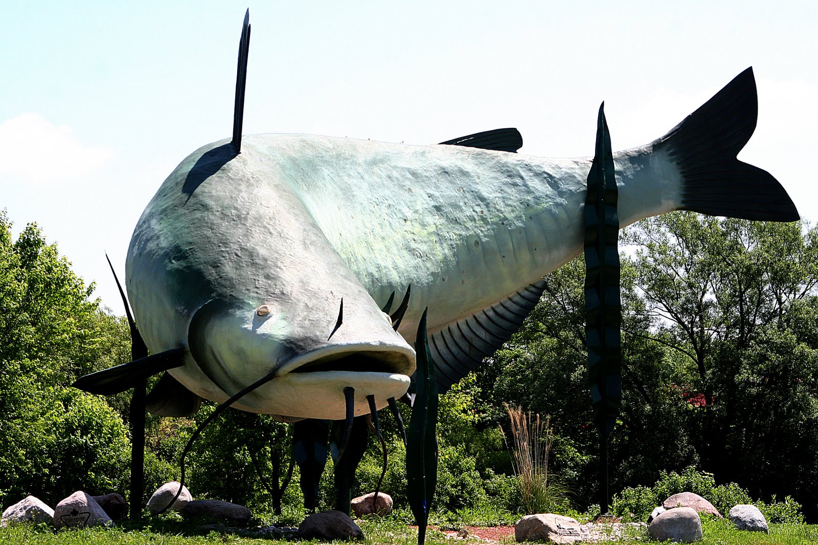 A Niagara Region Garden: Two Blocks from my House