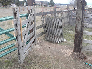 Life among the Tall Pines: Loading corral gate