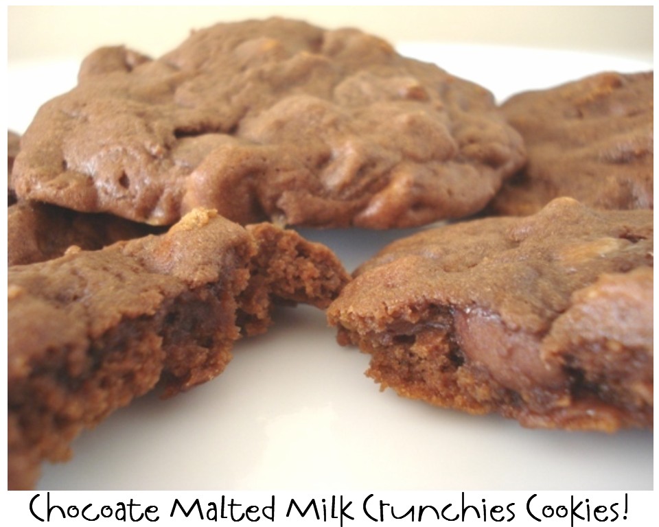 Prepared NOT Scared!: Mix Recipe #22: Chocolate Malted Milk Crunchies ...