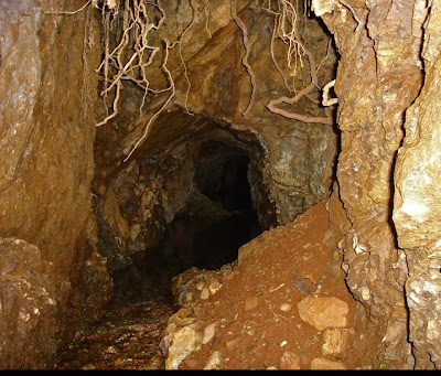 Camera Trap Codger: Indian Spring Mine--an excursion