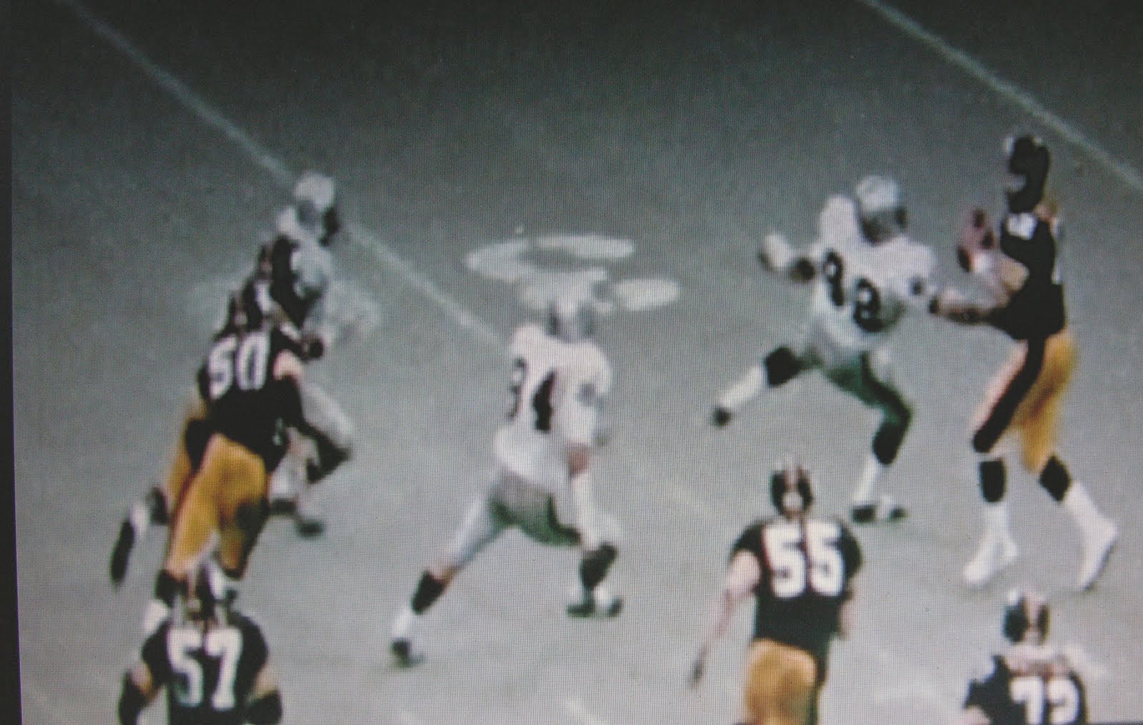 Author and Artist: Immaculate Reception Proven