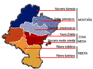 ESCUELAS VIAJERAS 2009.: ZONAS GEOGRÁFICAS DE NAVARRA