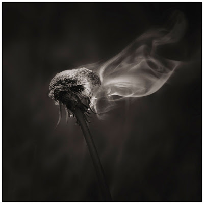 Blog Arquitectura-Rioja3D: 35 Increibles diseños y tutoriales sobre ...