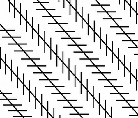 Optical Illusions: Every line is Straight
