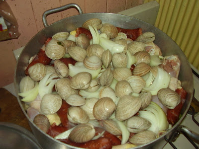 italo_chileno: EL PULMAI