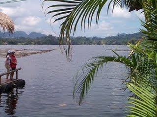 All information about philippines: Lake Buluan, South Cotabato