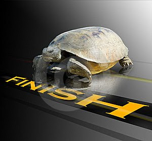 Tri Becca: My journey to the first Triathlon!: Being a Tortoise