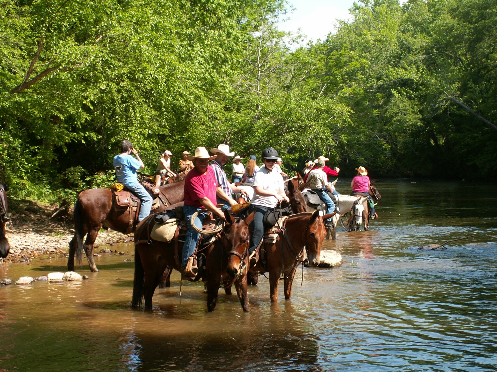St.Clair Red Mule Farm -Mule & Donkey Adventures: 1st Ride back with ...