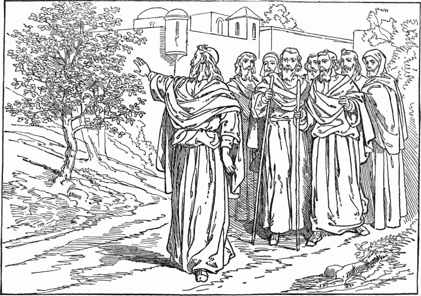 theFridayService: The Mystery of The Fig Tree