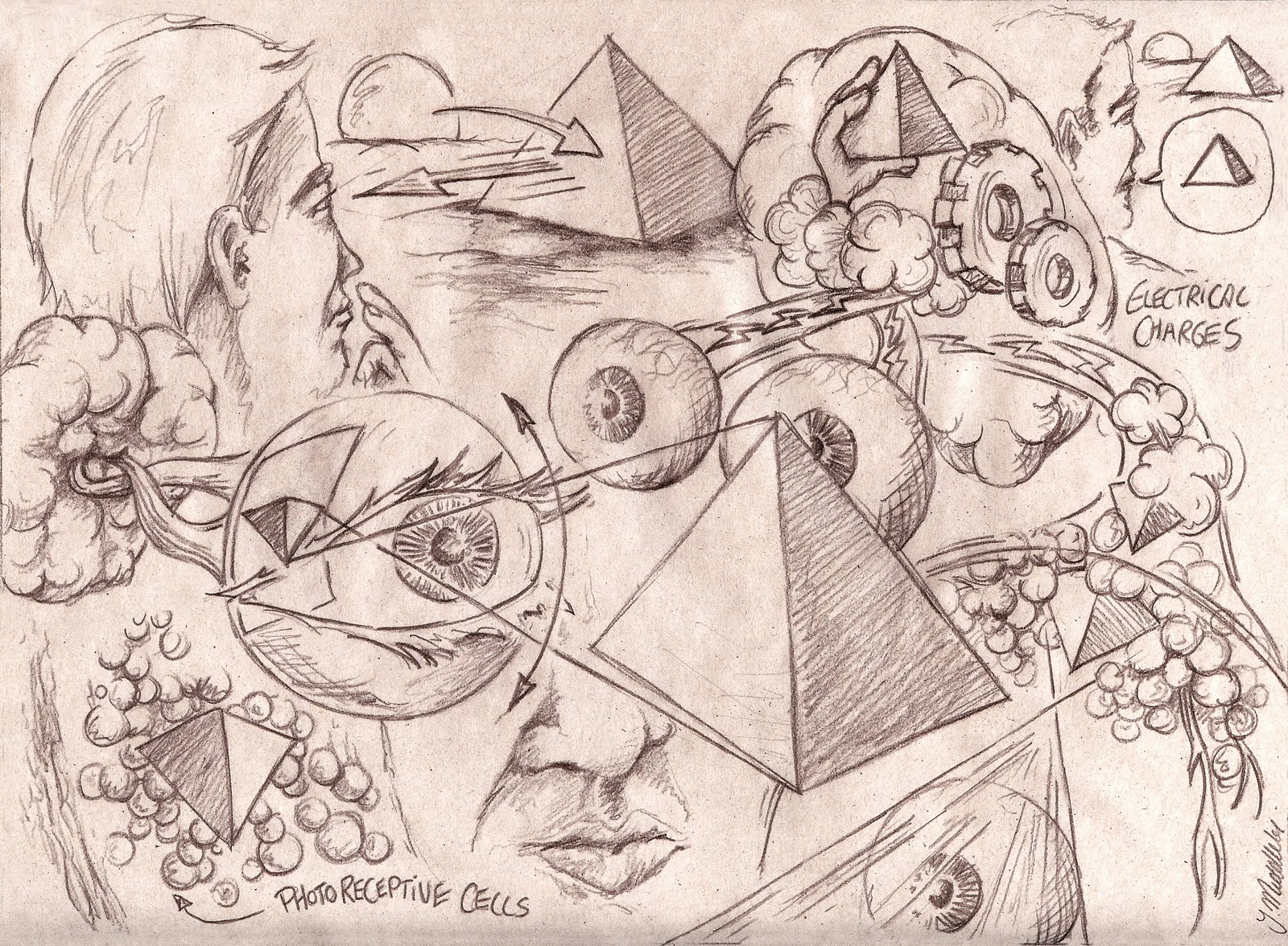 Tony Middleton Designs: Betty Edwards textbook: great drawing reference