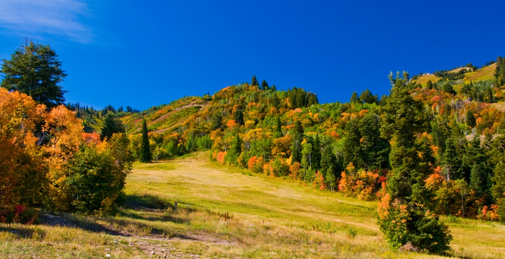 Utah Fall Color Watch: Ogden Fall Workshop Sept. 18th
