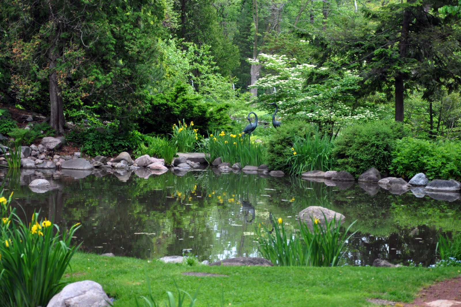 Rick Beato Photo: Japanese Garden