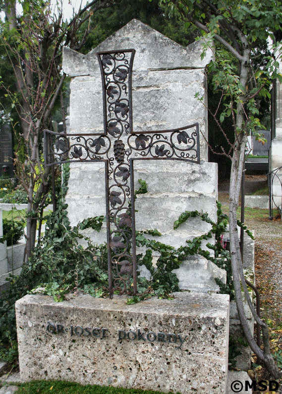 THE DARK HOUSE: Cementerio de Grinzing - Grinzinger Friedhof (2) Viena