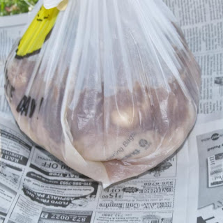 Educating Casia: Chicken Mummification Part 2 (a.k.a. Nkuku Part Ew!)