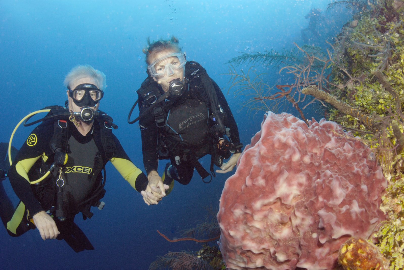 Delta Divers Scuba Adventures