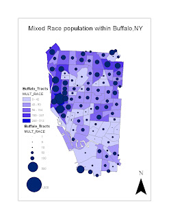Taylor Lundeen's Geography 390 Blog: Map 9-Mixed race population in ...
