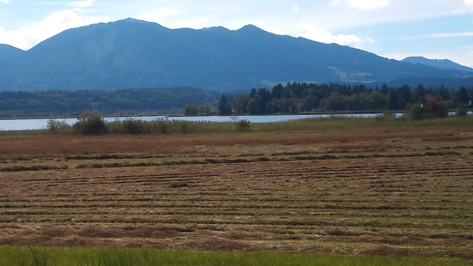 Sousies tägliche Gedanken: Am Staffelsee