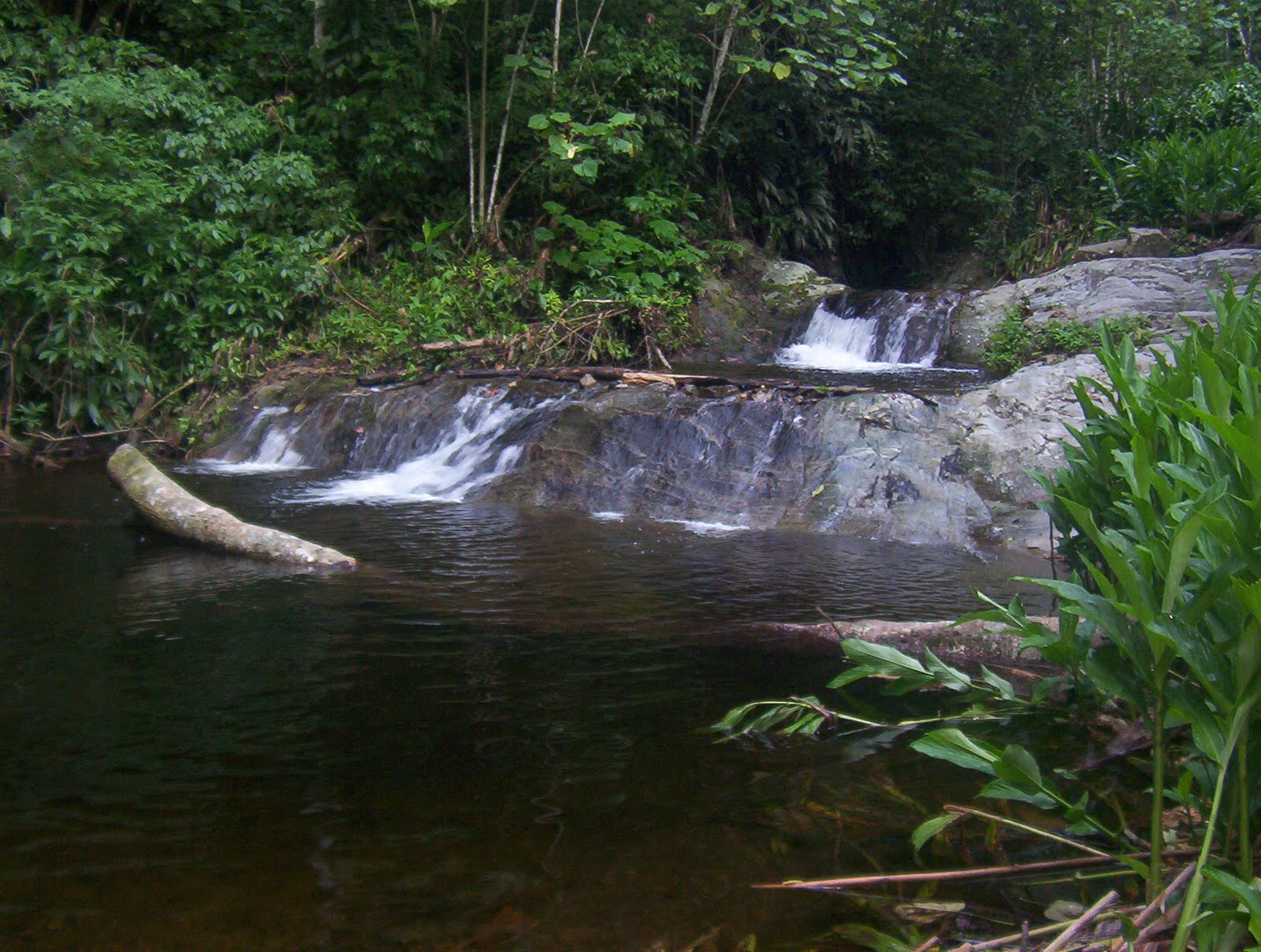 Parque Nacional El Ávila: El Paraiso