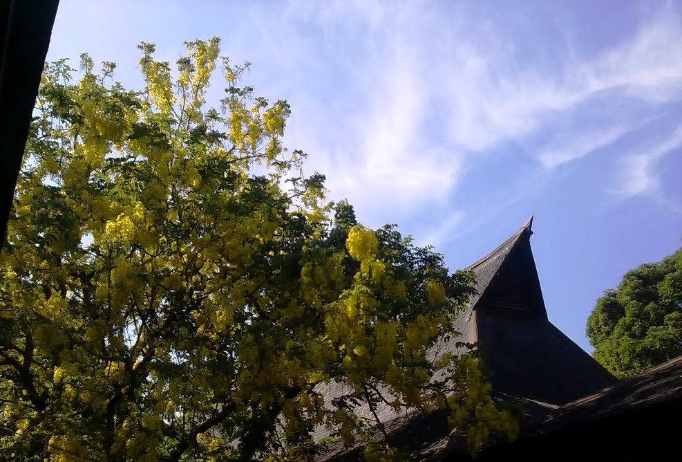 artepreneur: yellow sakura